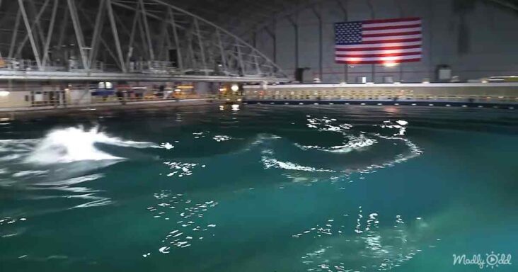 Indoor ocean can model tidal conditions around the world – Madly Odd!