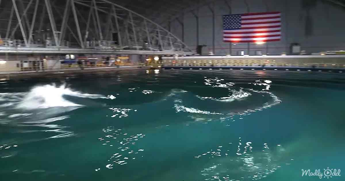 Indoor ocean can model tidal conditions around the world – Madly Odd!