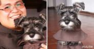 The cutest dog becomes an honorary friar at a monastery