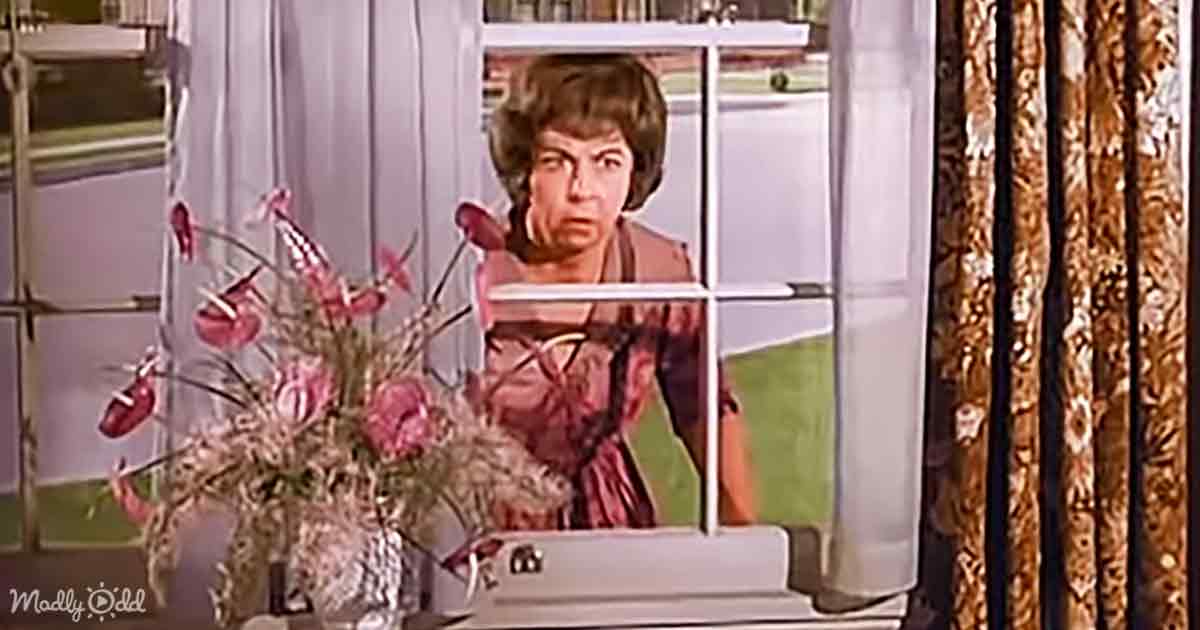 15 laugh-out-loud moments from TV’s nosy neighbor, Mrs. Kravitz – Madly ...