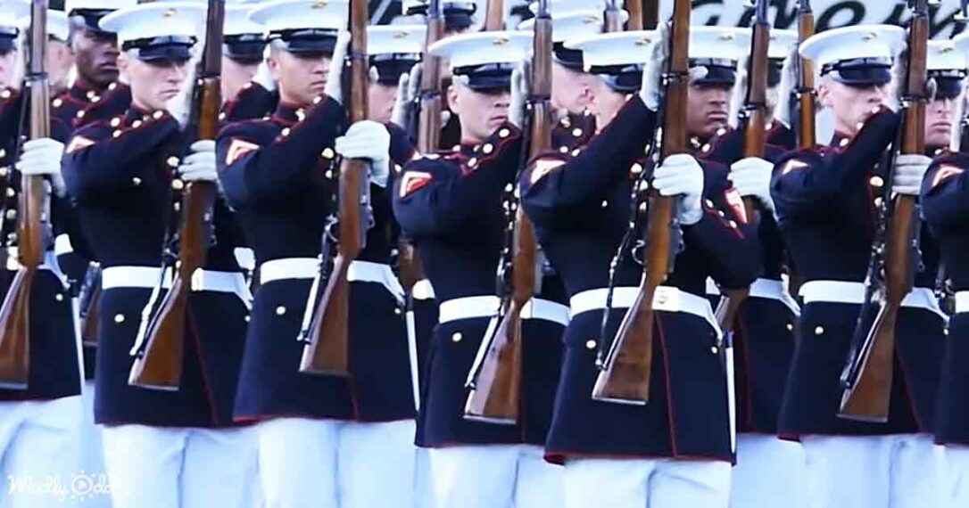 24 Marines give superbly synchronized rifle performance – Madly Odd!