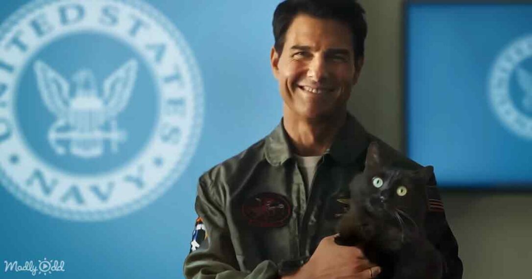 Tom Cruise and Kitty team up for “Top Gun” parody video – Madly Odd!