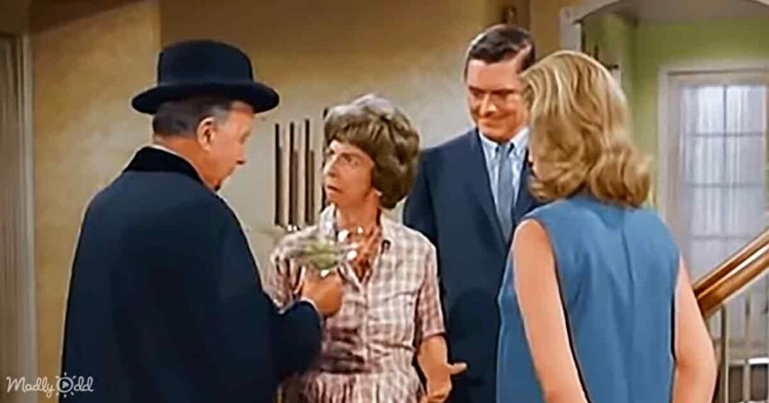 15 laugh-out-loud moments from TV’s nosy neighbor, Mrs. Kravitz – Madly ...