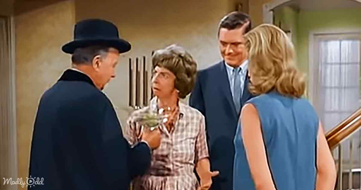 15 laugh-out-loud moments from TV’s nosy neighbor, Mrs. Kravitz – Madly ...