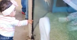 Little kids react in the funniest ways to fish in the aquarium – Madly Odd!