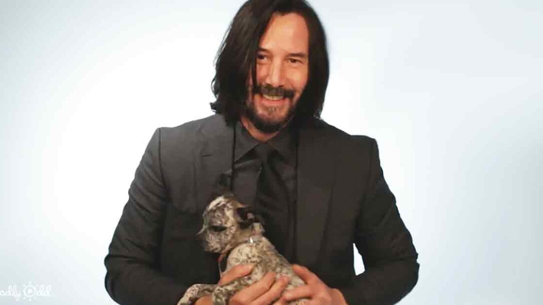 Man performs epic ‘Lord of the Rings’ cover in the Elvish language ...