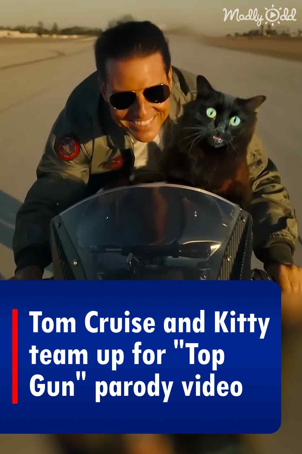 Tom Cruise and Kitty team up for “Top Gun” parody video