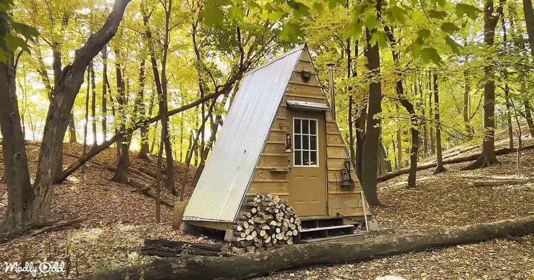 Man builds the perfect tiny cabin in just 7 days – Madly Odd!