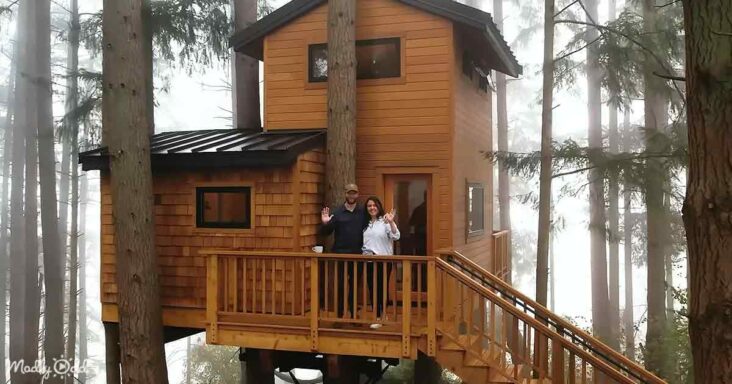 Treehouse tiny home is sleek, modern, and practical – Madly Odd!