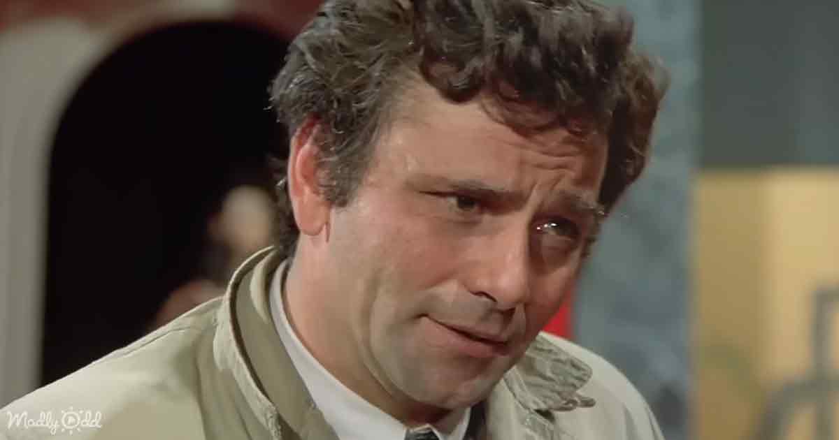 When Columbo sets a trap, it always pays off gloriously! – Madly Odd!