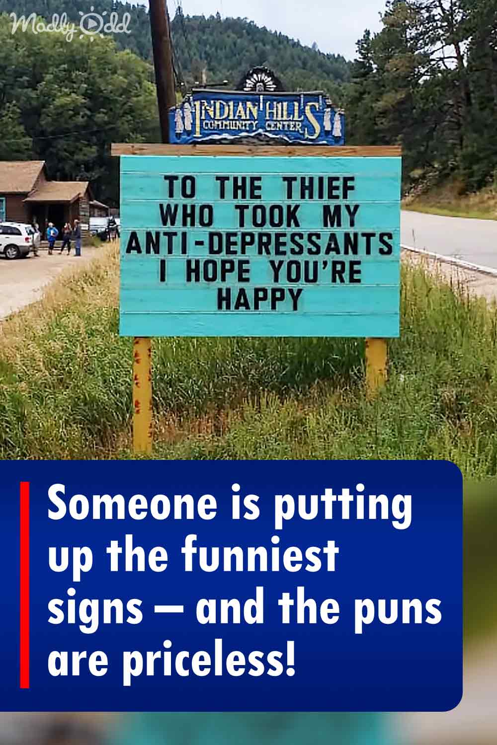 Someone is putting up the funniest signs – and the puns are priceless ...