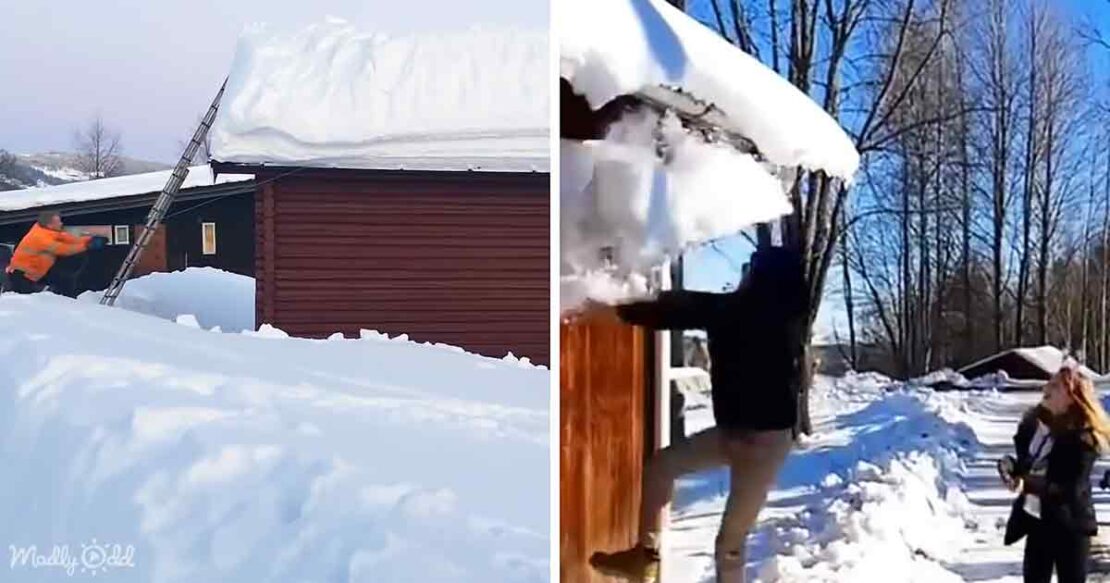 Funniest Snow Removal Fails: A Lighthearted Look at Winter – Madly Odd!