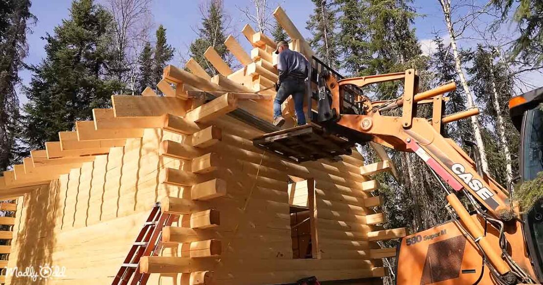 Grandfather & Grandson Bond & Build A Cozy Log Cabin – Madly Odd!