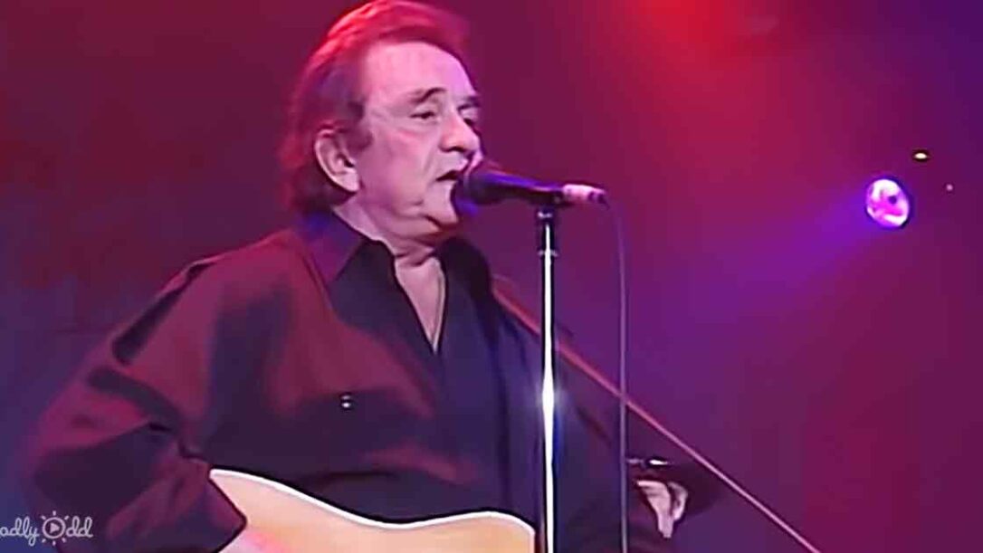 But OF COURSE pugs love John Deere Tractors – Madly Odd!