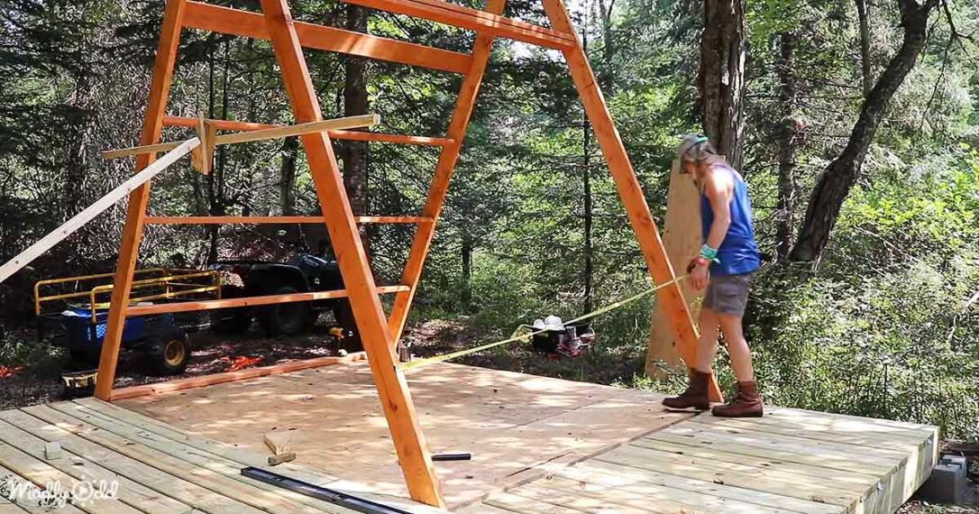Woman builds off-grid tiny home cabin of her dreams – Madly Odd!