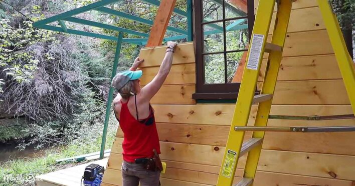 Woman builds off-grid tiny home cabin of her dreams – Madly Odd!