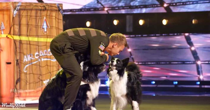 The Most Incredible Dog Performance You Will Ever See on AGT – Madly Odd!