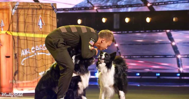 The Most Incredible Dog Performance You Will Ever See on AGT – Madly Odd!