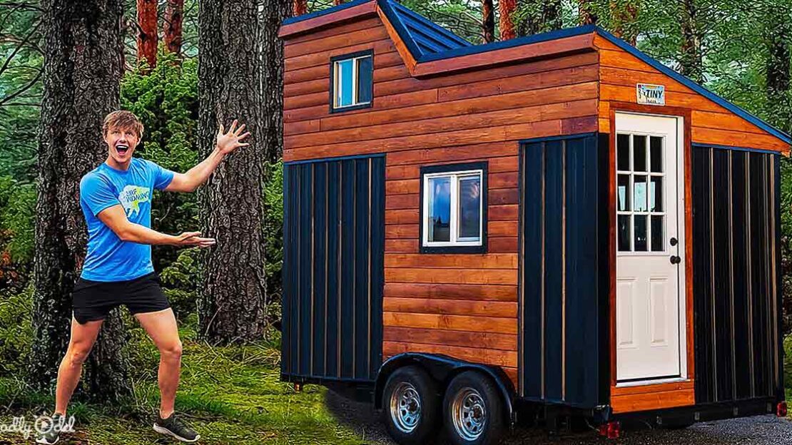 Bulldog puppy’s hissy fit would melt anybody’s heart – Madly Odd!