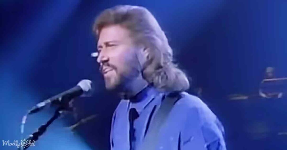 “We Sang It for Andy — Every Damn Word.” Bee Gees’ Haunting 1989 ...