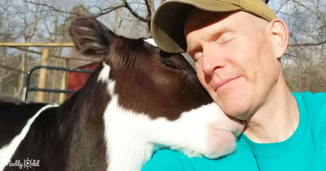 The Cure for a Bad Day: Cute Animal Moments That Will Change Your Mood ...