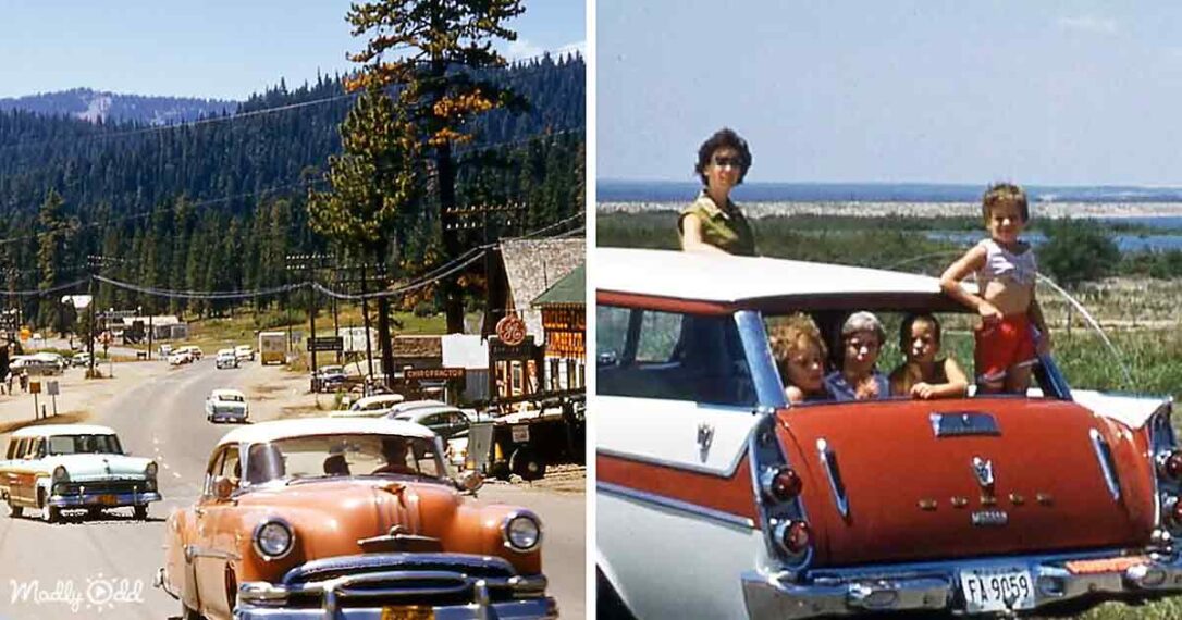 Vintage ’50s & ’60s family road trip photos in color – Madly Odd!