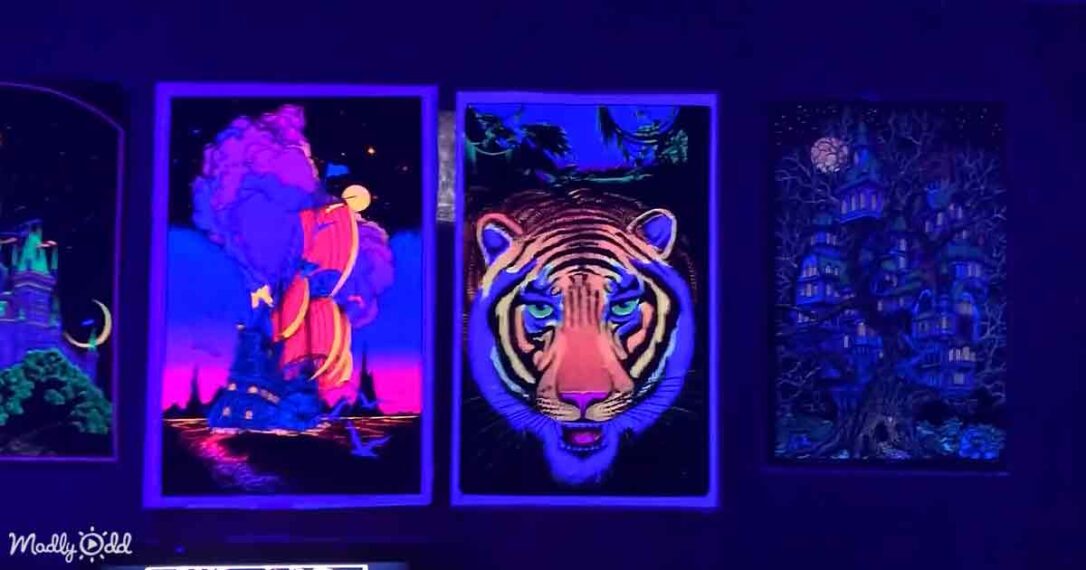 10 forgotten fads of the 1970s: How many do you remember? – Madly Odd!