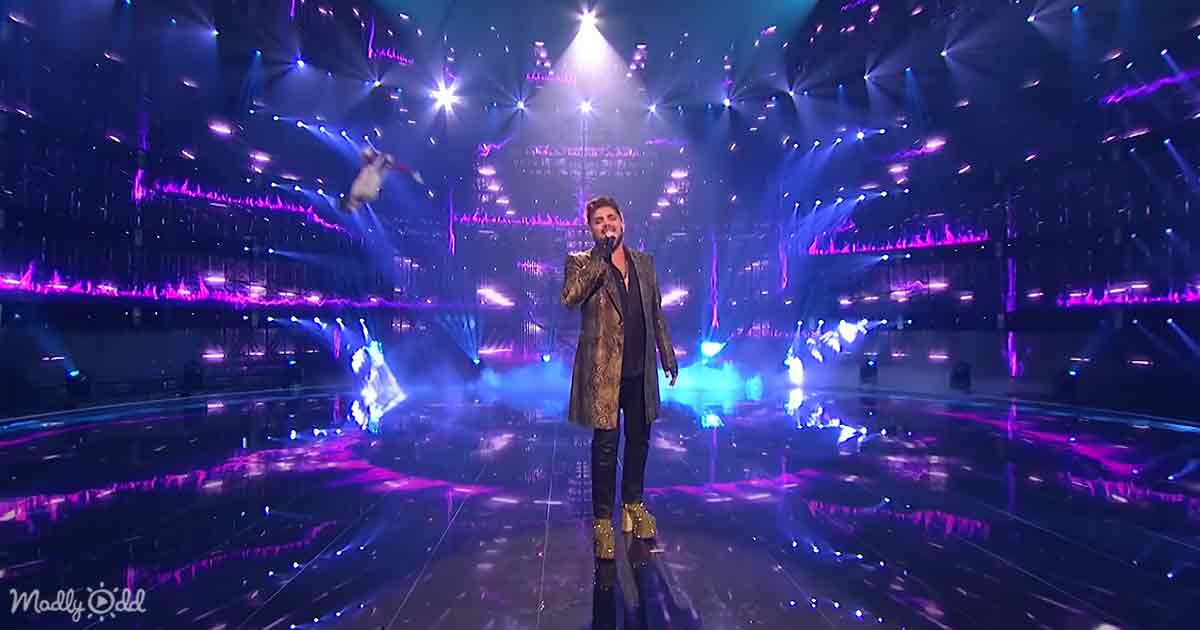 Fans rave over Adam Lambert’s incredible rendition of “Chandelier ...