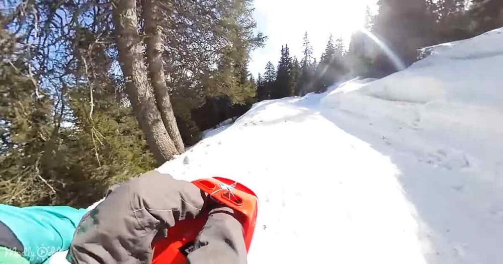 Thrilling Snow Toboggan Descent Goes Viral for Good Reason – Madly Odd!