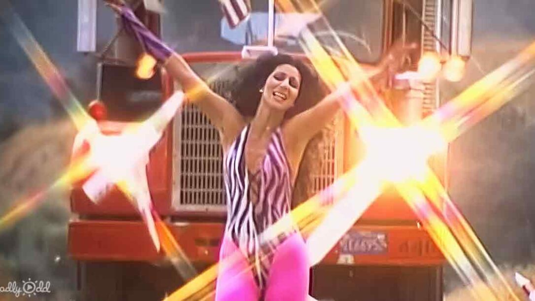 Affectionate cheetah snuggles up to her favorite human – Madly Odd!