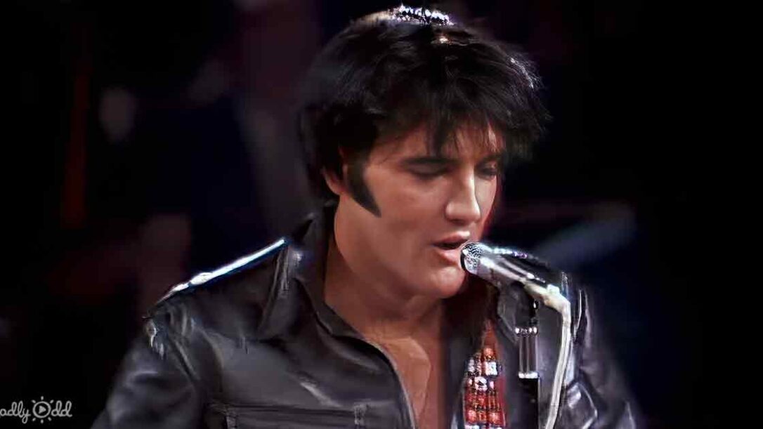 Parrot learns to play basketball with miniature ball and hoop – Madly Odd!