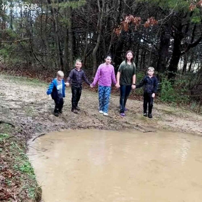 Delighted deer and family frolic in rain puddle together – Madly Odd!