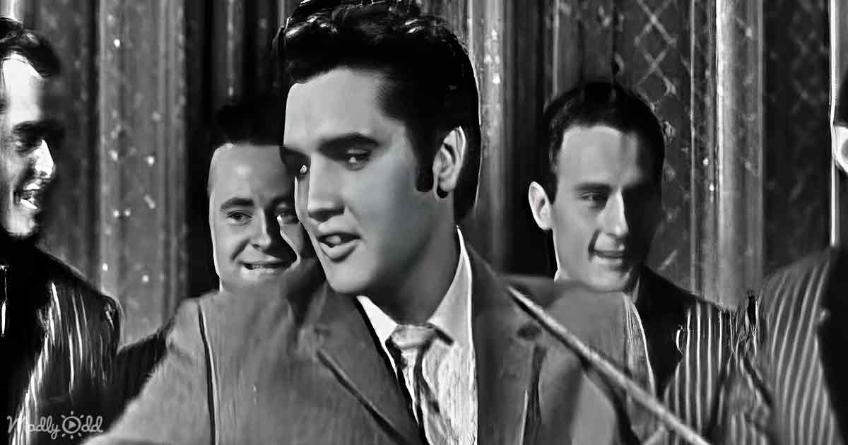 Elvis Presley’s ‘Hound Dog’ performance electrifies in 1956 – Madly Odd!