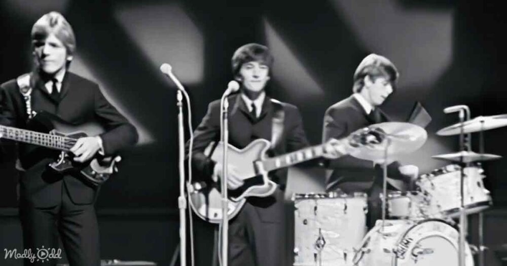 Get Groovy with Herman’s Hermits’ ‘I’m Into Something Good’ in 1964 ...
