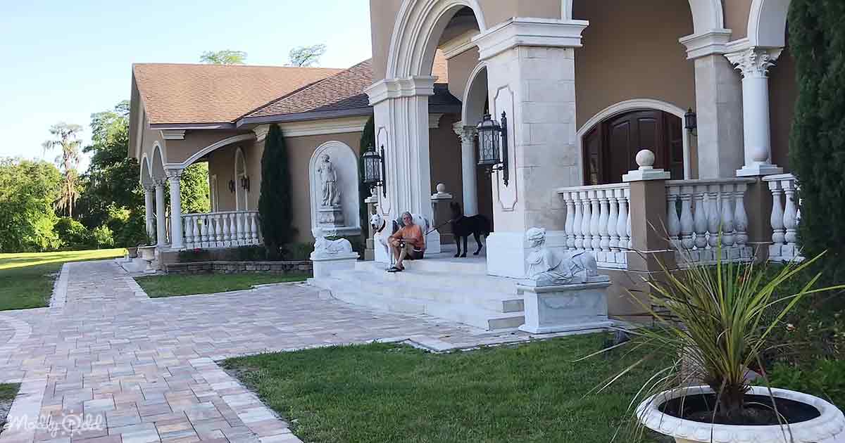 Rescued Great Dane’s new family brings love and laughter – Madly Odd!