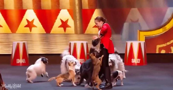 10 incredible canine acts that will bring joy to your day – Madly Odd!