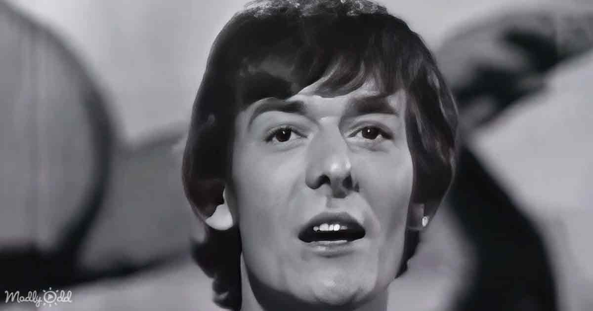 Indulge in nostalgia with The Hollies’ ‘Look Through Any Window’ from ...