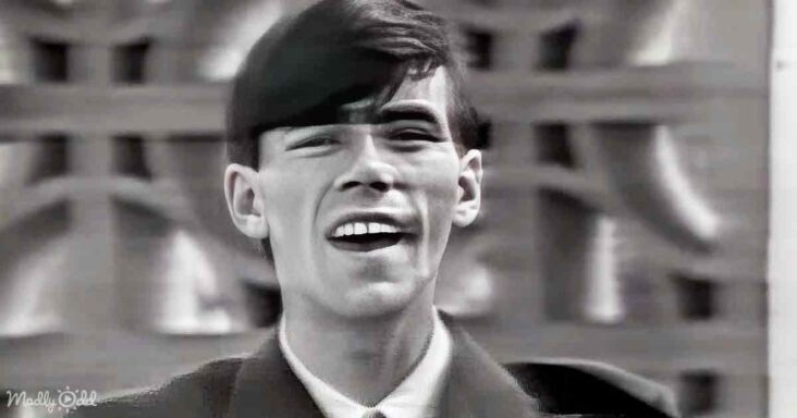 The Cowsills’ ‘The Rain, The Park & Other Things’ – A Flashback to 1967 ...