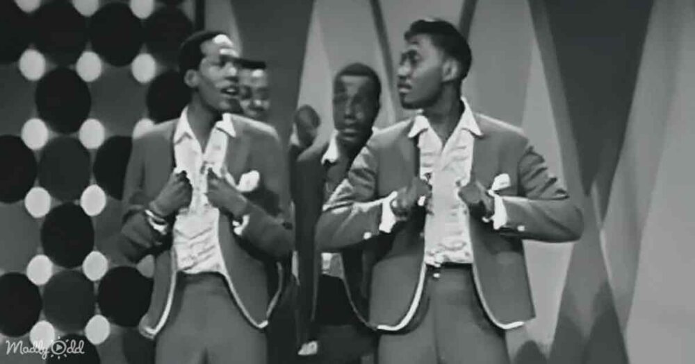 Step Back in Time with The Temptations’ Iconic 1964 ‘My Girl’ – Madly Odd!