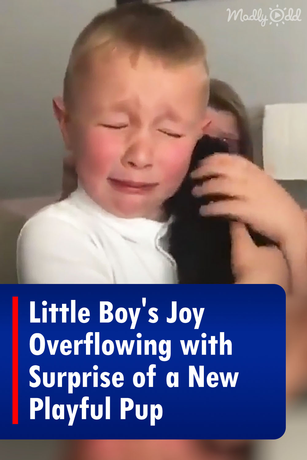 Little Boy’s Joy Overflowing with Surprise of a New Playful Pup