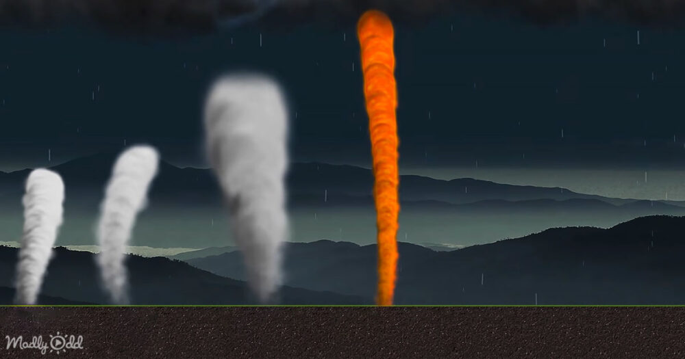 Journey through the Fury of 16 Tornadoes with Groundbreaking Footage ...