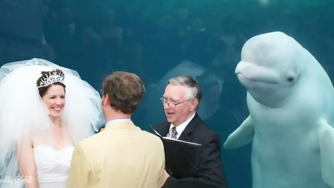 Dad films daughter every week for 20 years to create adorable timelapse ...