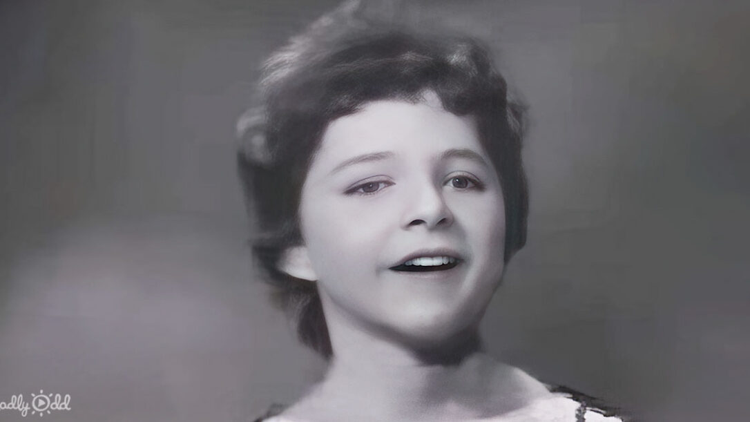 A Delicious Walk Down Memory Lane: Iconic Fast Food Chains We Miss ...