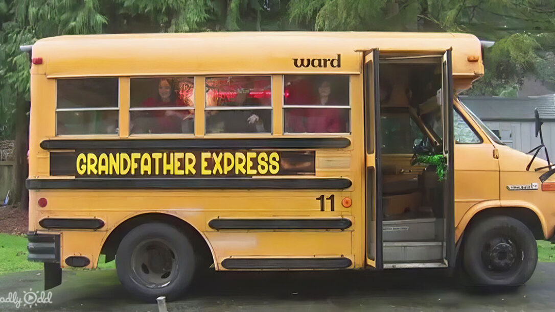 Woman interviews shelter animals with a tiny microphone – Madly Odd!