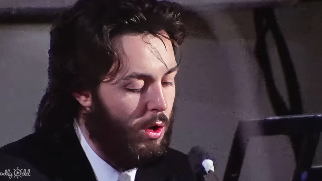 Woman sings and soothes to this bull she rescued from slaughter – Madly ...