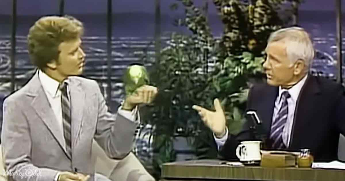 Poncho the Parrot sings on Carson Tonight Show – Madly Odd!