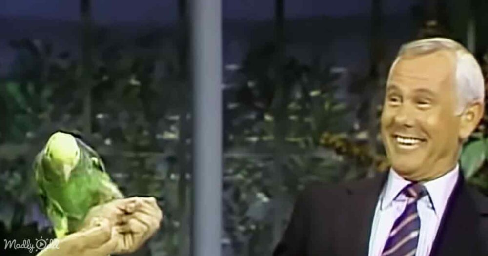 Poncho the Parrot sings on Carson Tonight Show