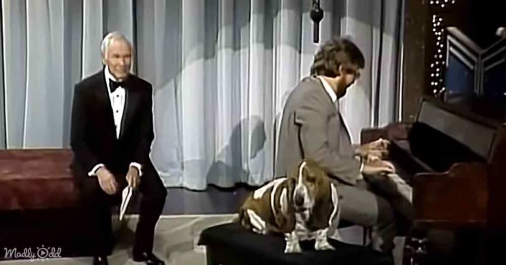 Unforgettable Carson Show of 1987 features singing dogs contest
