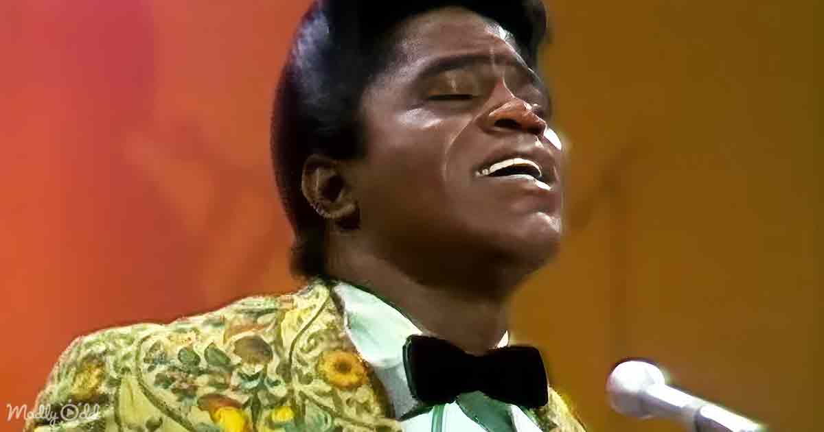James Brown’s 1966 Performance Has Everyone ‘Feeling Good’