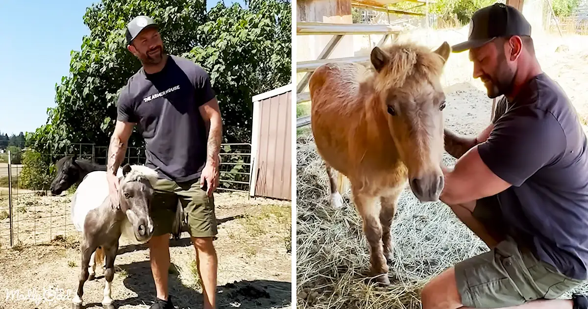 Man Stumbles Upon Mini Horse Rescue Opportunity at Feed Store